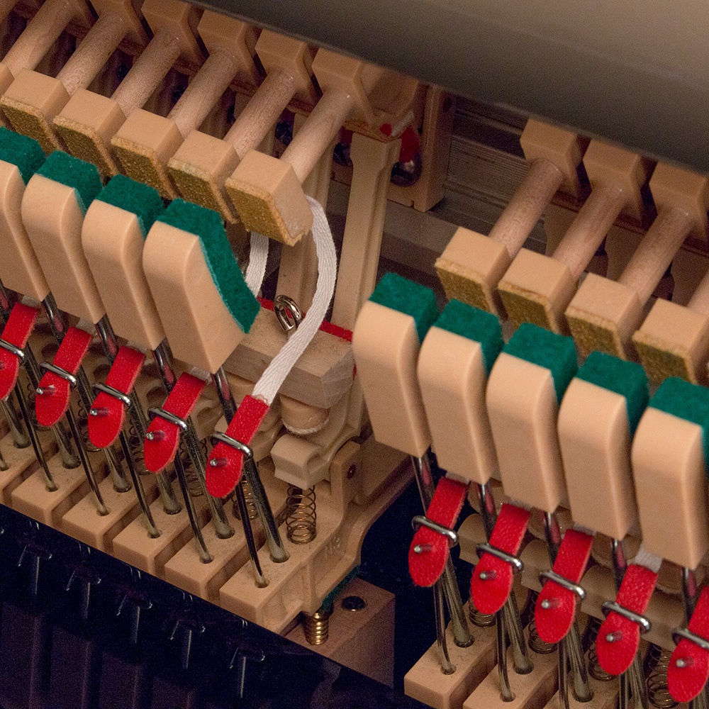 ND-21 - Kawai Australia